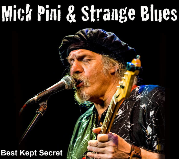 Standing in the Rain With Strange Blues - The Mick Pini Band